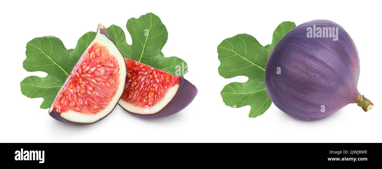Fresh fig slice fruit with leaf isolated on white background Stock ...