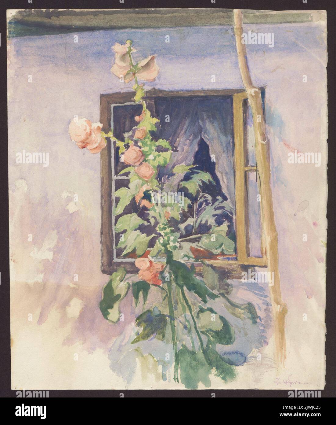 Hollyhocks against the background of a window. Łopieński, Ignacy (1865 ...