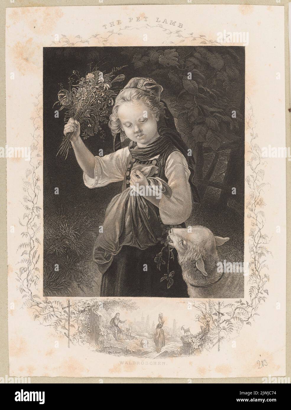 Lamb and Forest rose. Payne, Albert Henry (1812-1902), graphic artist ...