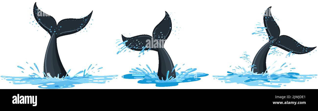 Different tails of whale in the water illustration Stock Vector Image ...
