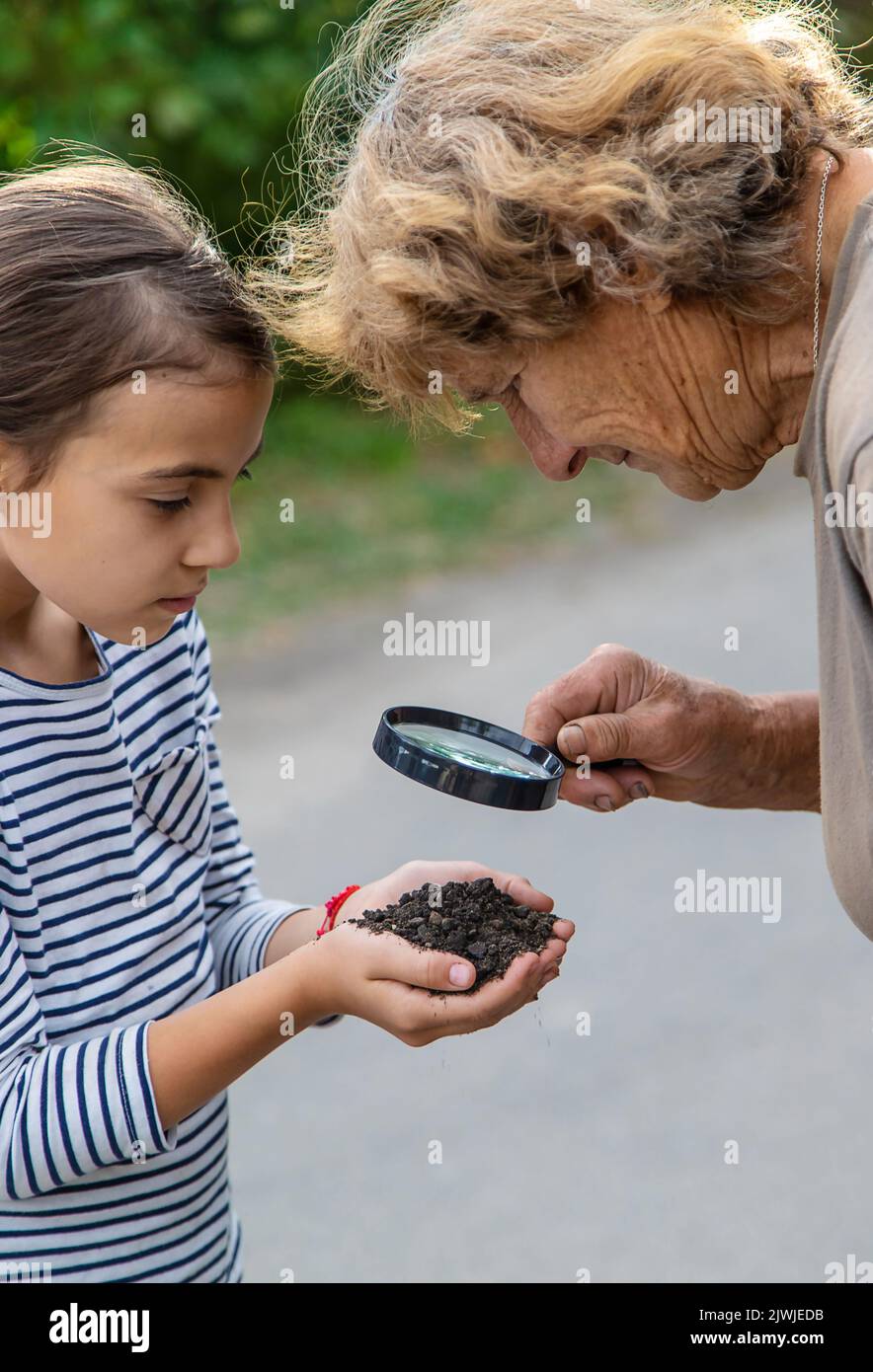The child examines the soil with a magnifying glass. Selective focus ...