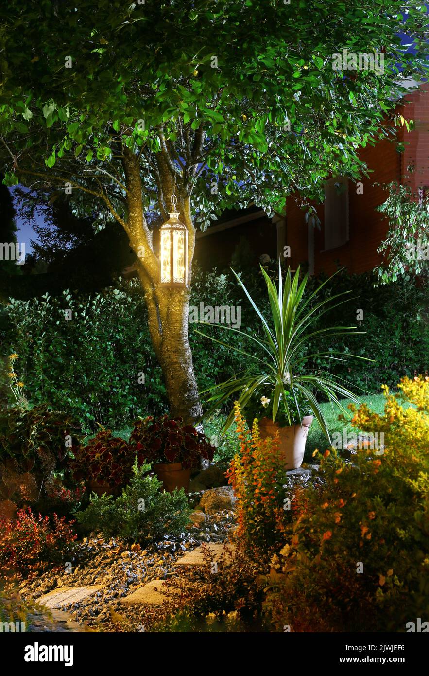 Illuminated home garden path patio plants and lantern in autumn evening ...
