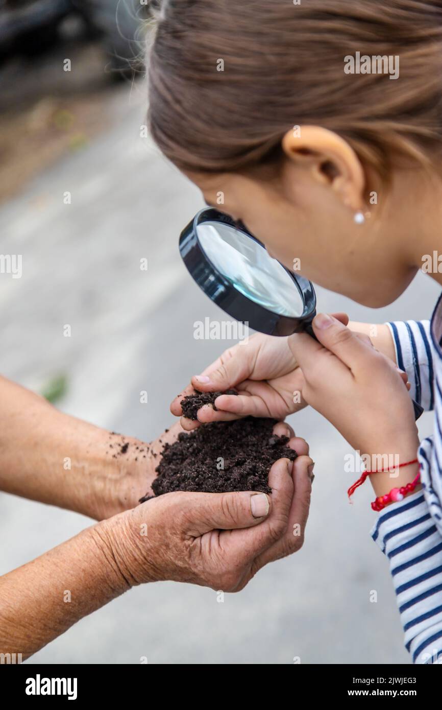 The child examines the soil with a magnifying glass. Selective focus ...