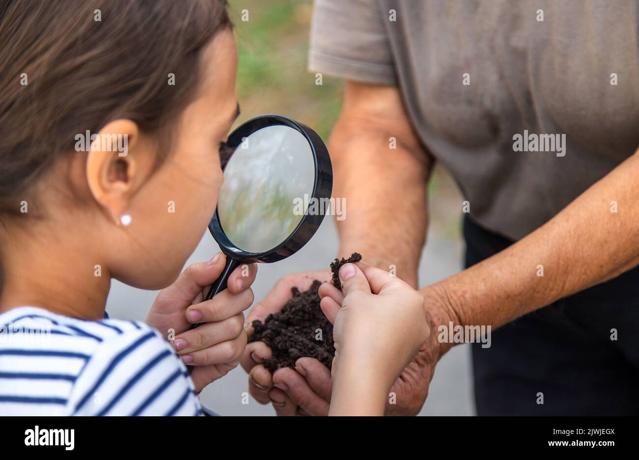 The child examines the soil with a magnifying glass. Selective focus ...