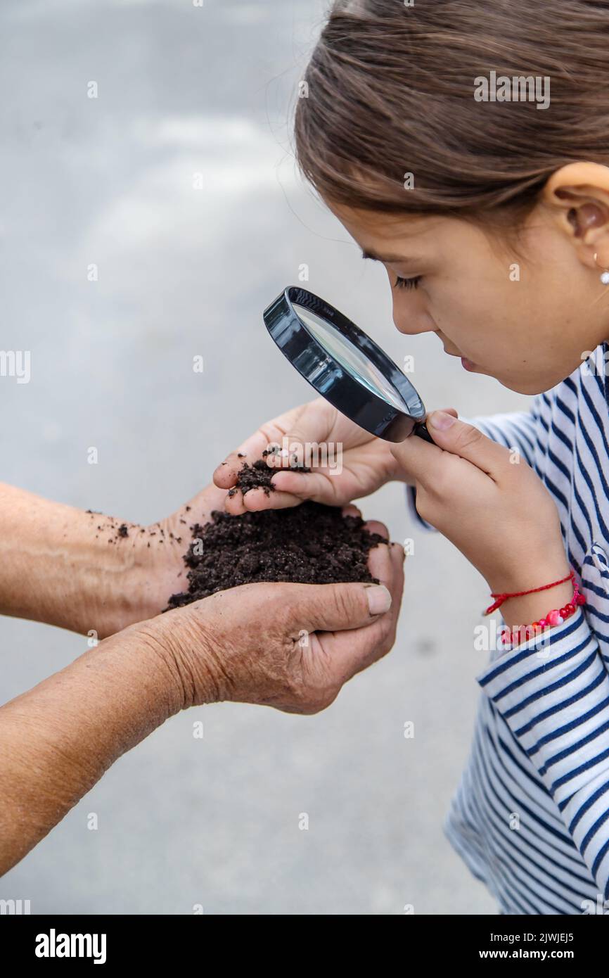 The child examines the soil with a magnifying glass. Selective focus ...