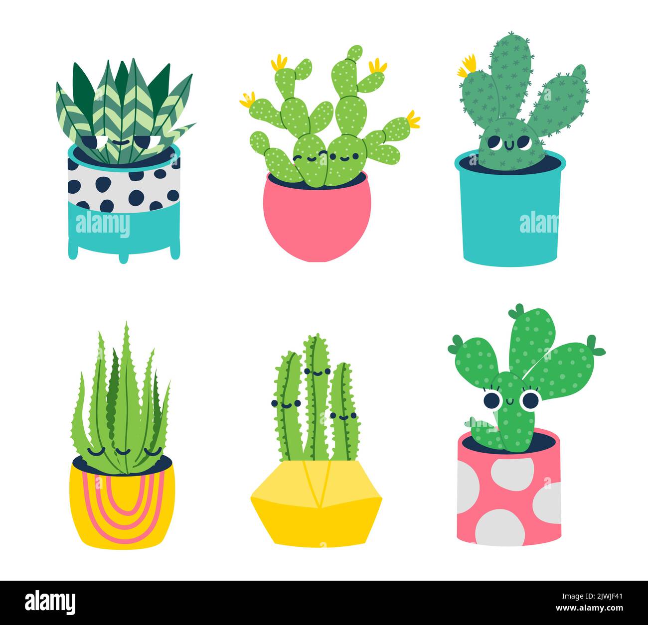 Faces of cactus hi-res stock photography and images - Alamy