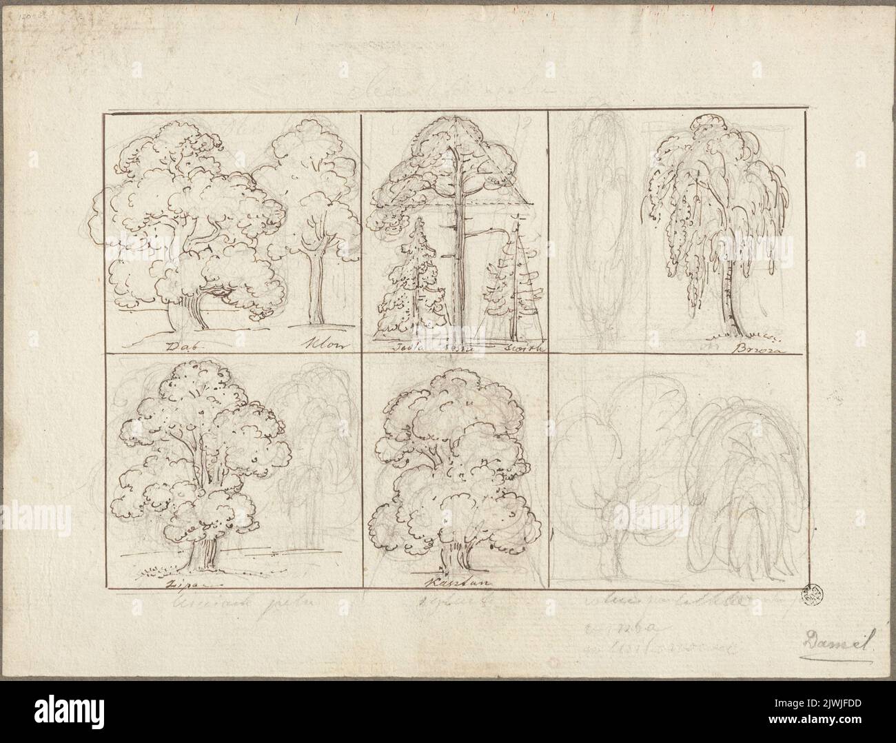 Designs for boards with drawings of tree species and tree leaves, on ...