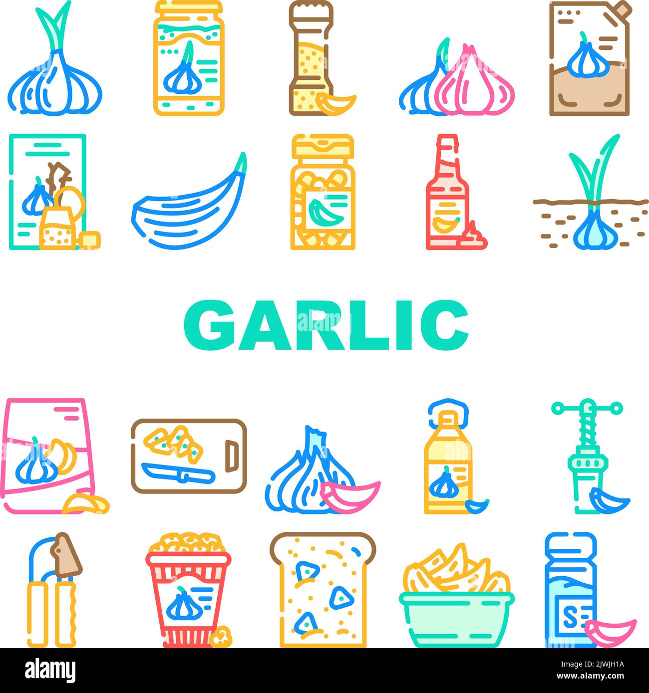 garlic white clove fresh icons set vector Stock Vector Image & Art - Alamy