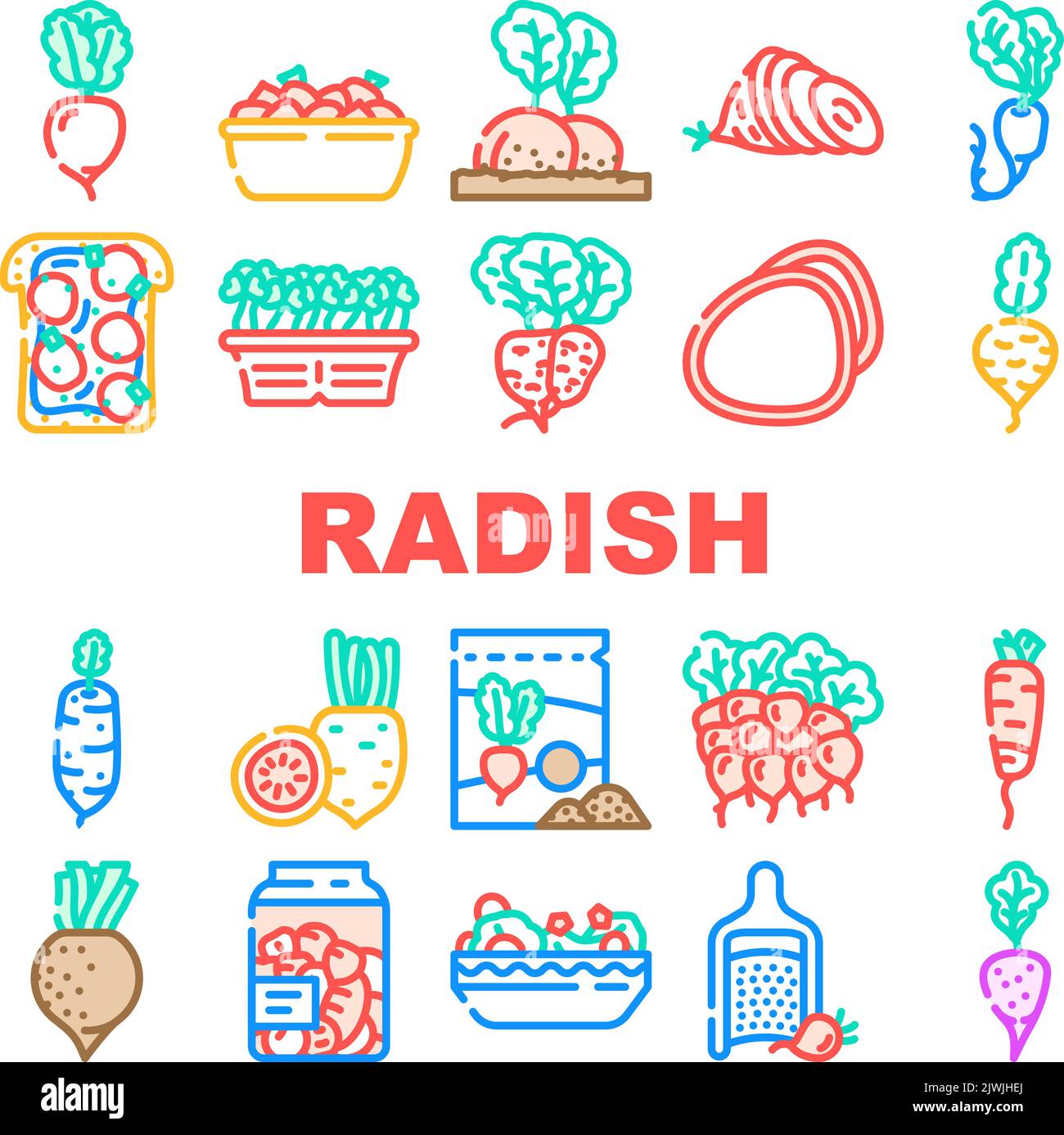 radish food organic vegetable icons set vector Stock Vector Image & Art ...