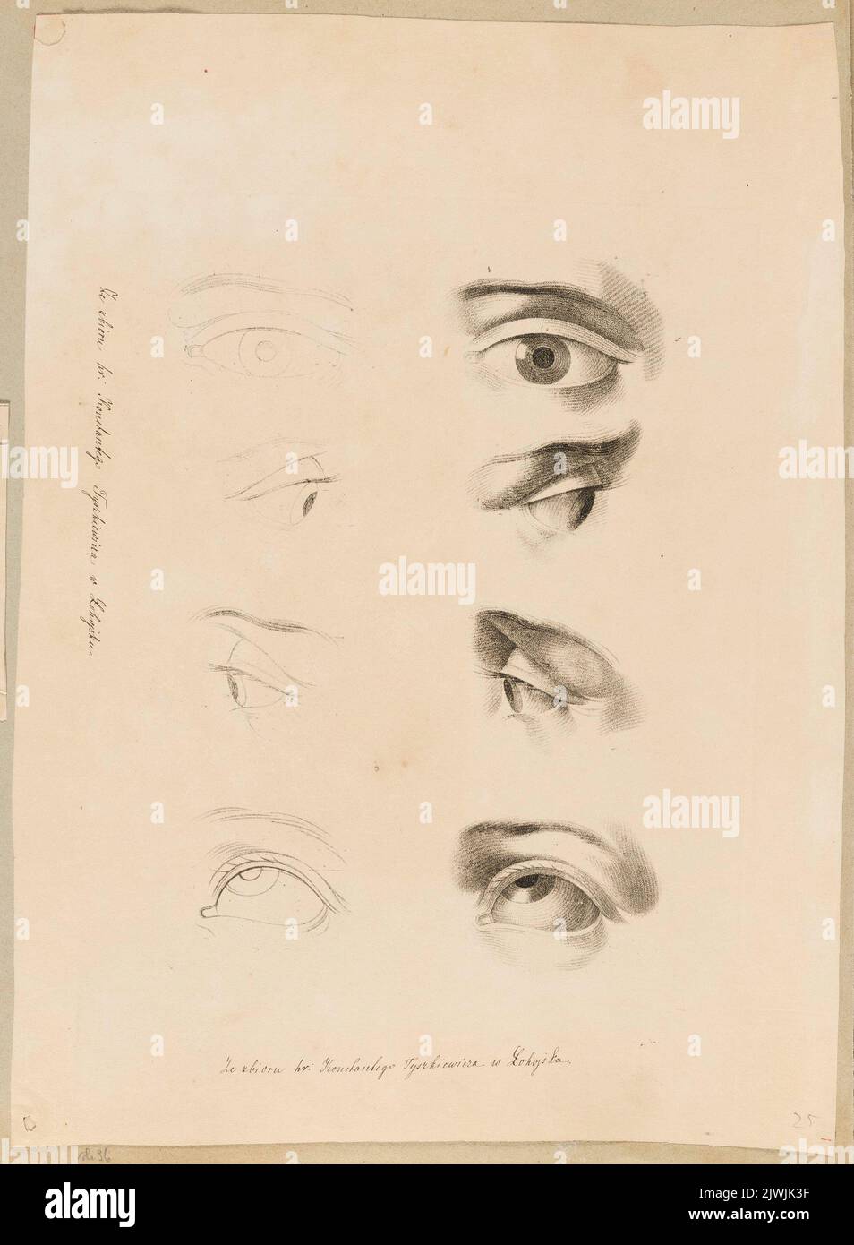Study of the eye (sheet from a pattern book). unknown, graphic artist ...