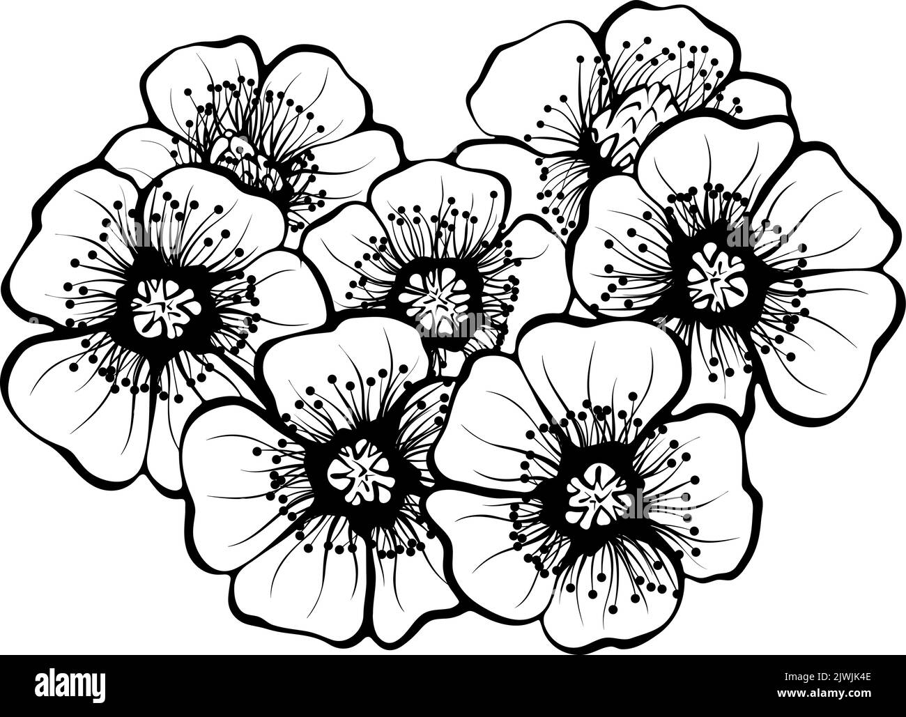 Buttercup flowers line art Stock Vector Image & Art - Alamy