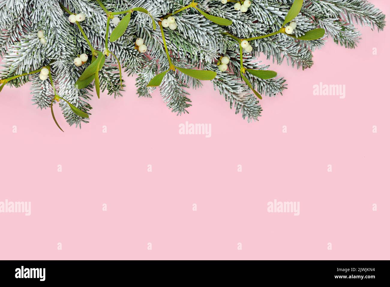 Christmas snow fir mistletoe background border on pastel pink. Minimal ...