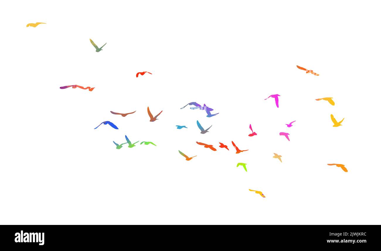 Abstract multicolored flying birds. Mixed media. Vector illustration ...