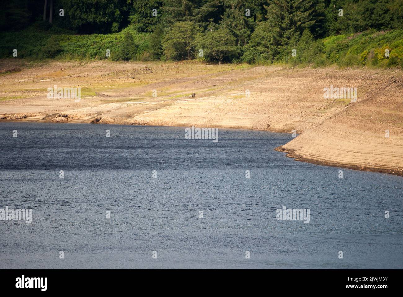 Upper Derwent Reservoir Upper Derwent Valley Derbyshire England Stock ...