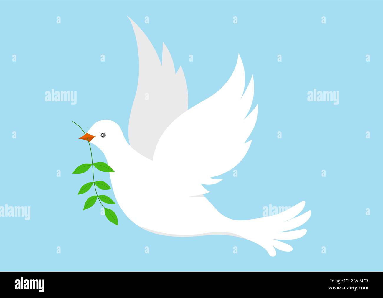 Dove with olive branch peace symbol isolated on white background Stock ...