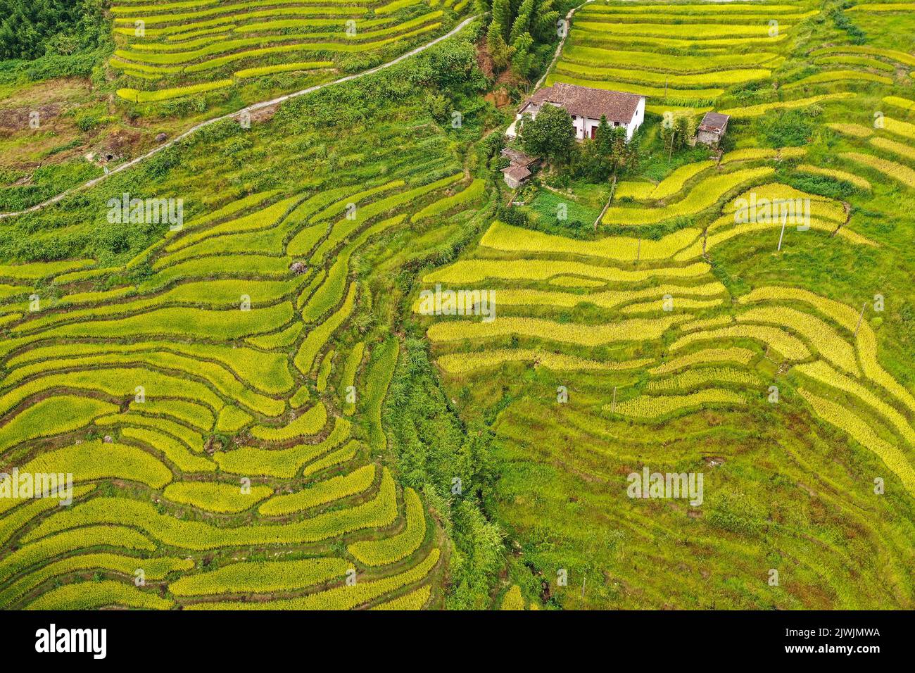Meandering scroll hi-res stock photography and images - Alamy