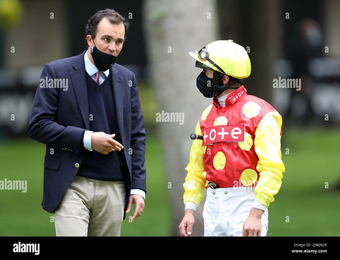 Tom clover 2022 hi-res stock photography and images - Alamy