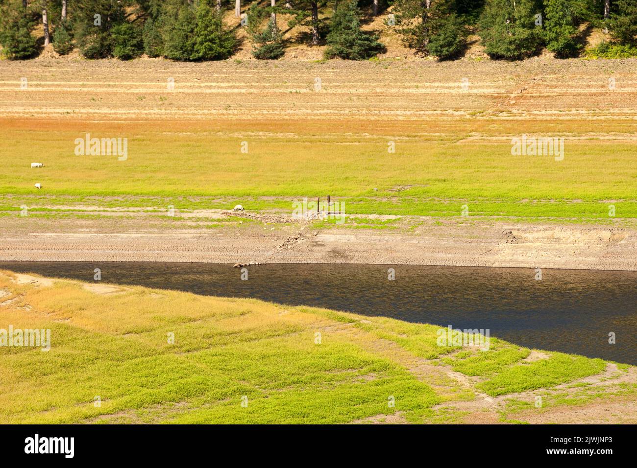 Howden Reservoir reservoir Upper Derwent Valley Derbyshire England ...