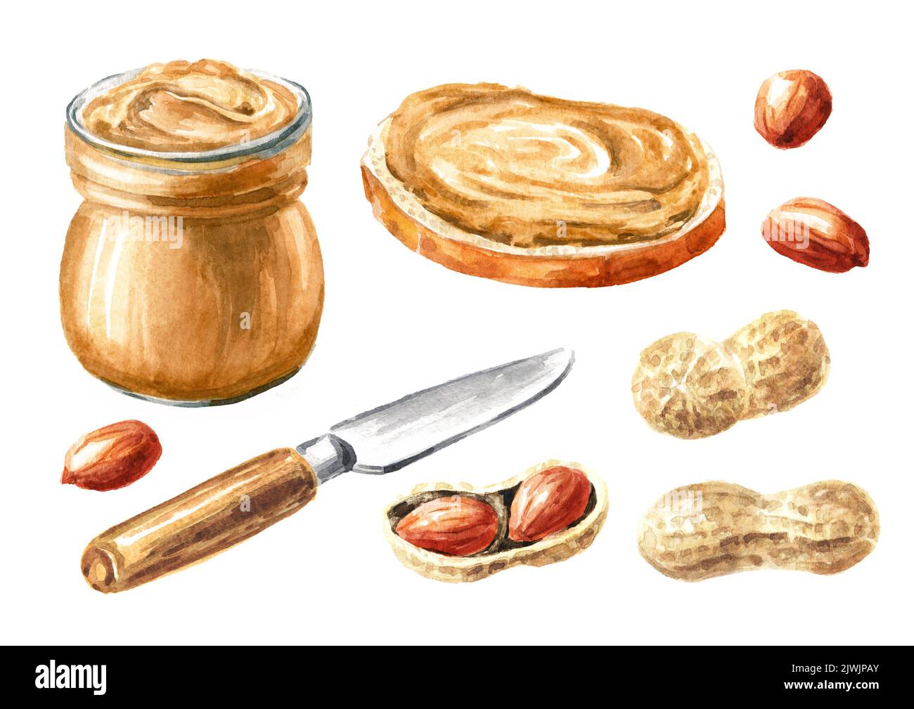 Peanut butter set, Hand drawn watercolor illustration, isolated on white background Stock Photo ...