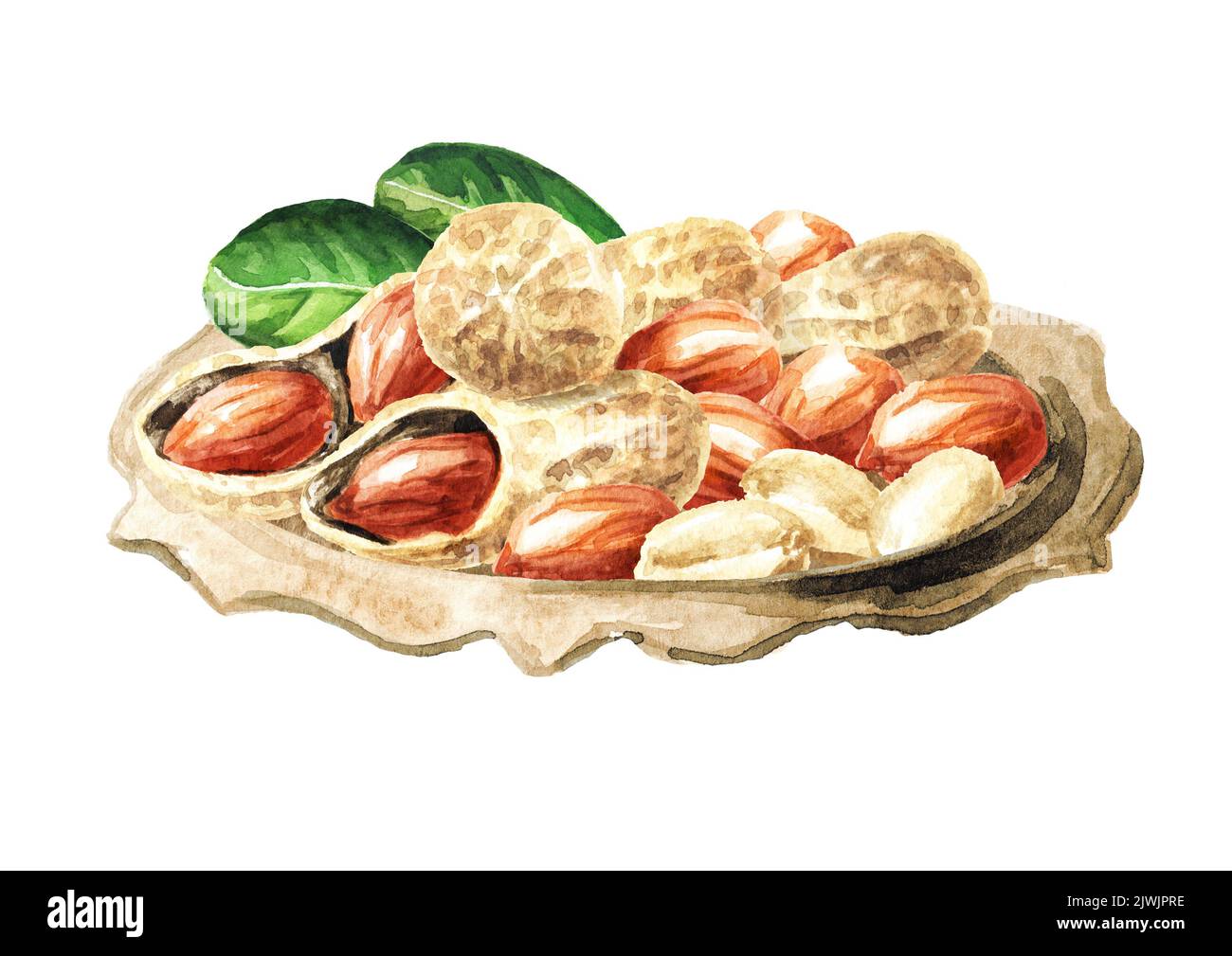 Plate with Peanuts, Watercolor hand drawn illustration, isolated on ...