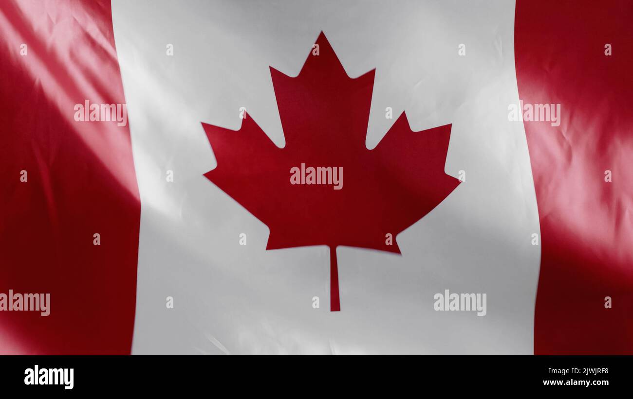 top view of national canadian flag with red maple leaf Stock Photo - Alamy