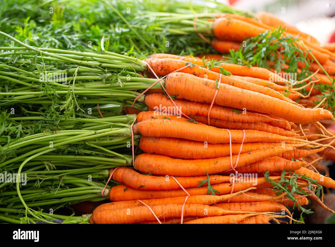 Fresh raw carrots in bunches at a farmer's market Stock Photo - Alamy