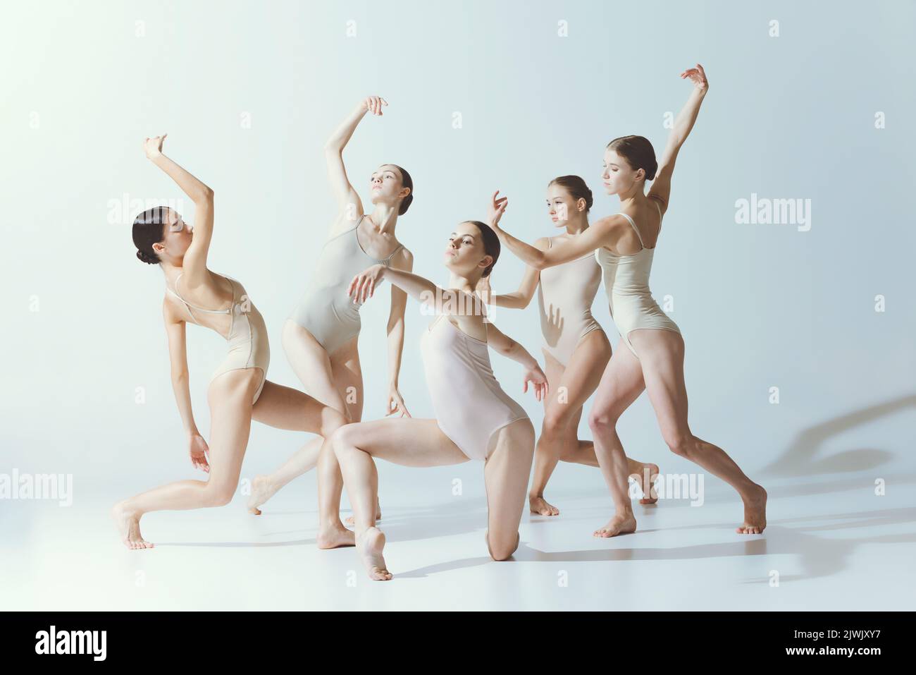 Group of young women, ballerinas dancing, performing isolated over grey ...