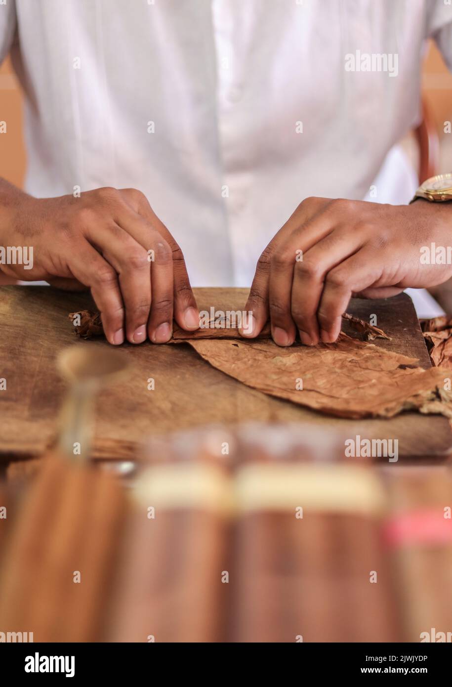 A Cuban man hand making Cigars on his ranch in Varadero Cuba Stock ...