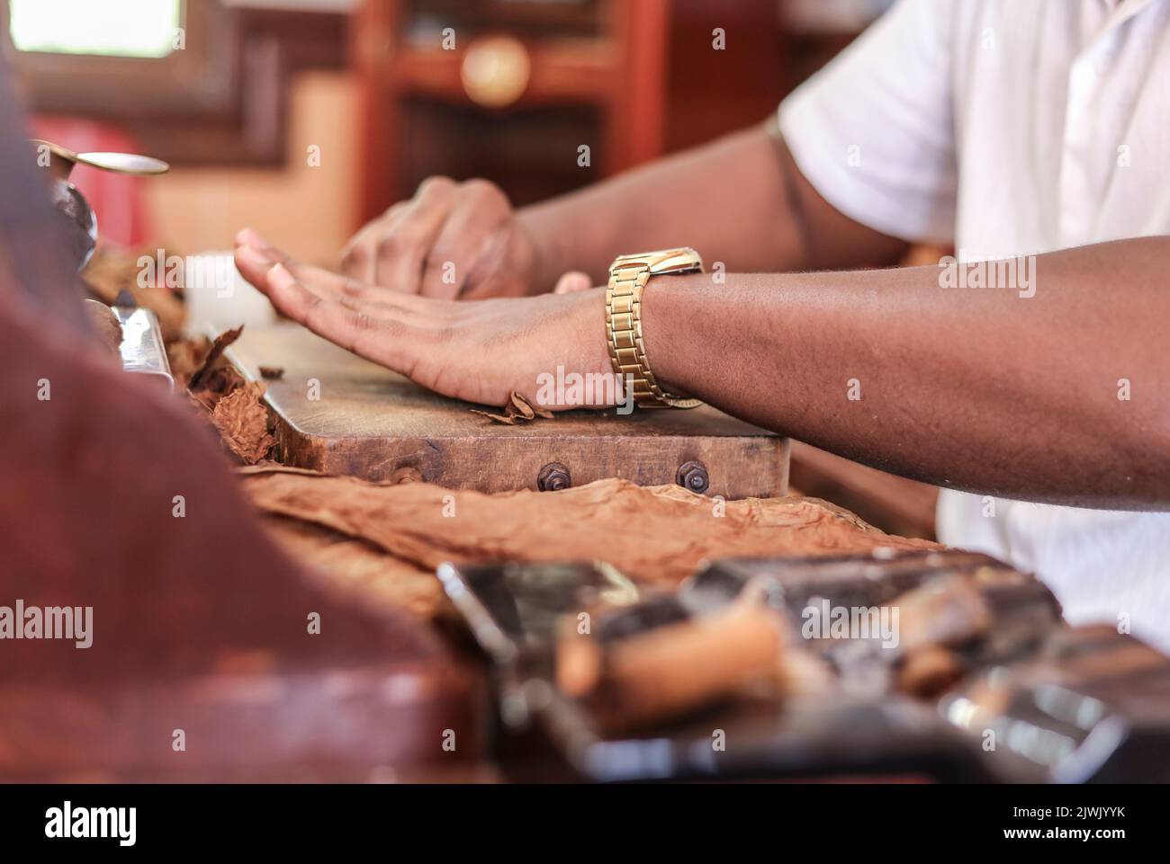 A Cuban man hand making Cigars on his ranch in Varadero Cuba Stock ...
