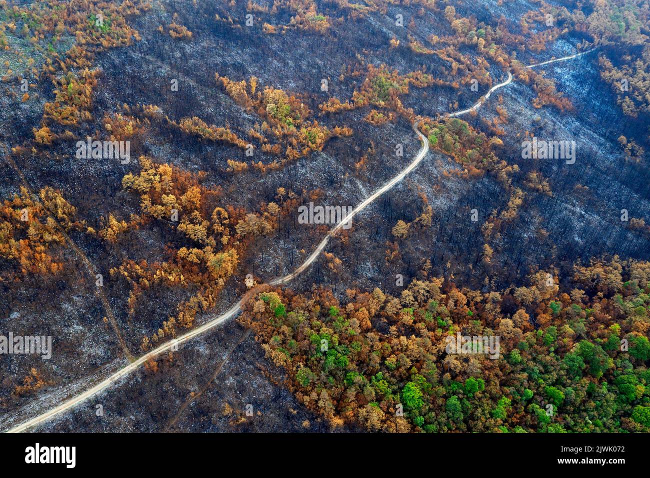 Aerial view of a burned forest and a landscape after the biggest forest ...