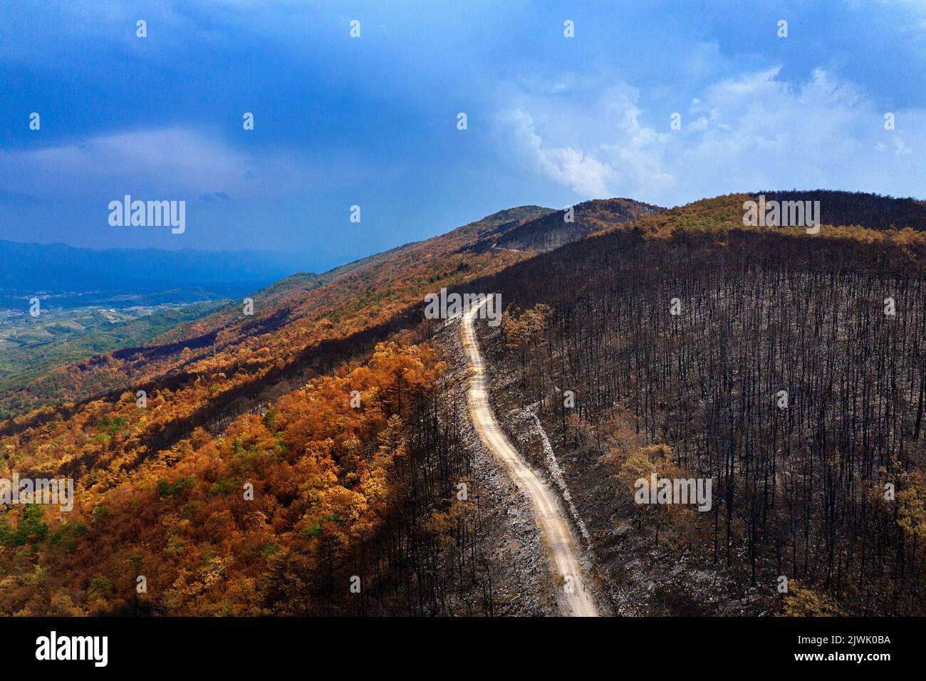 Aerial view of a burned forest and a landscape after the biggest forest ...