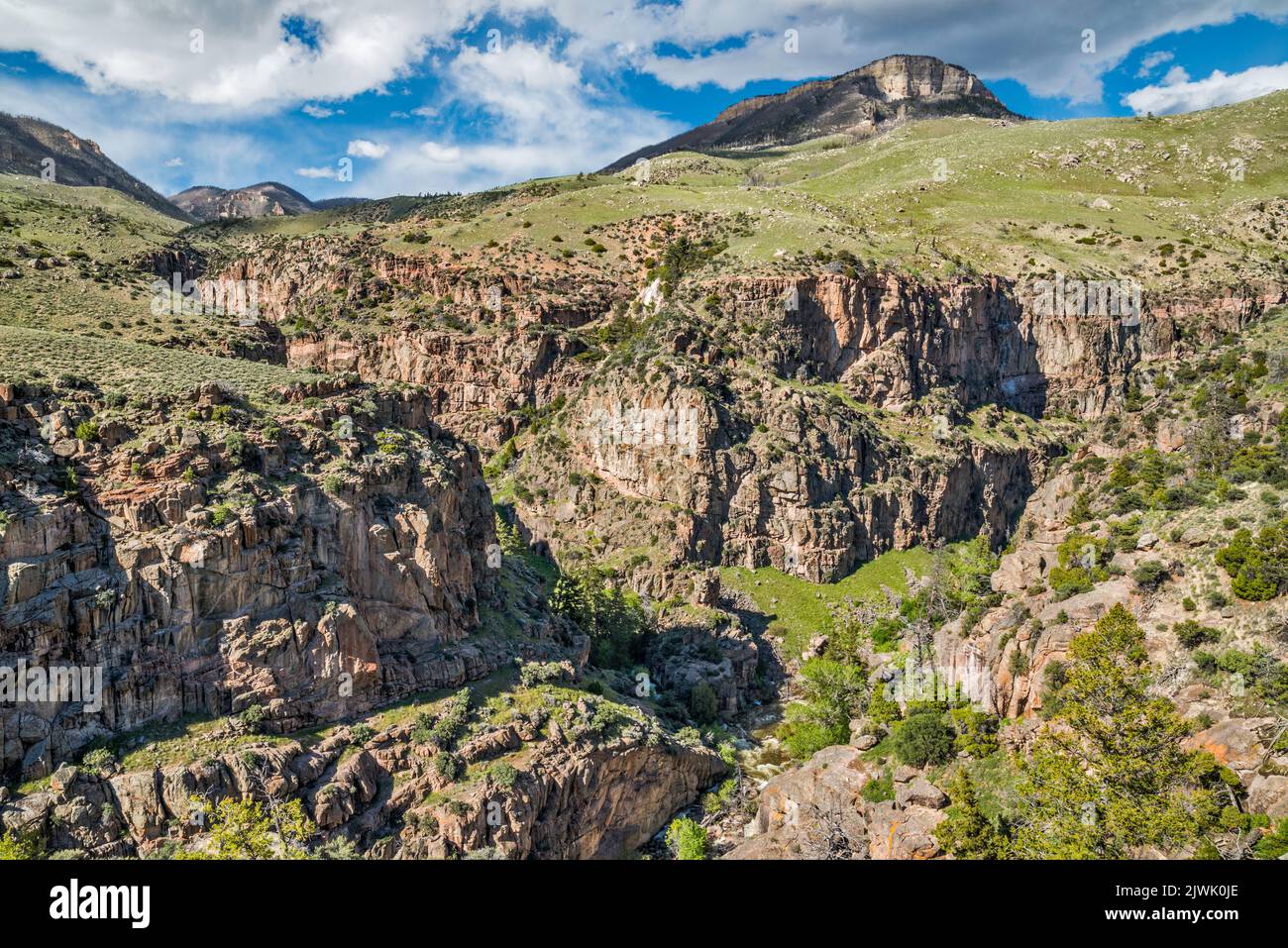 Copmans Tomb massif over Shell Canyon, Bighorn Mountains, Bighorn ...