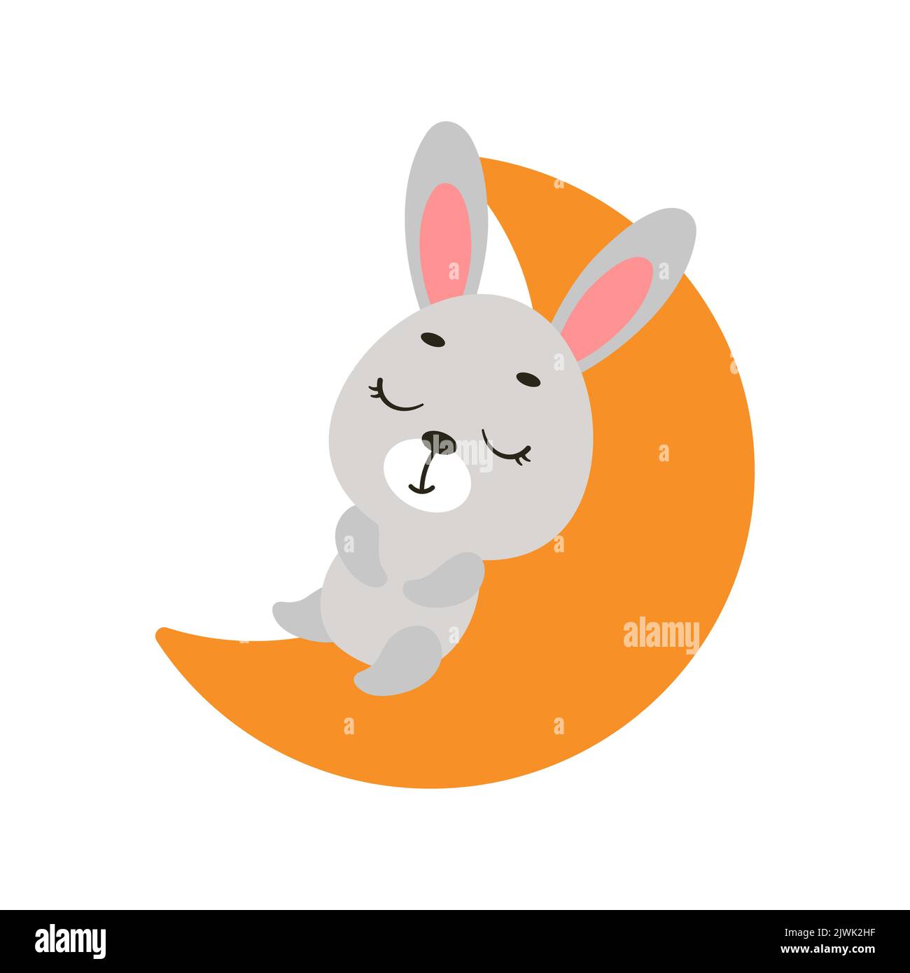 Cute Baby Bunny Sleeping