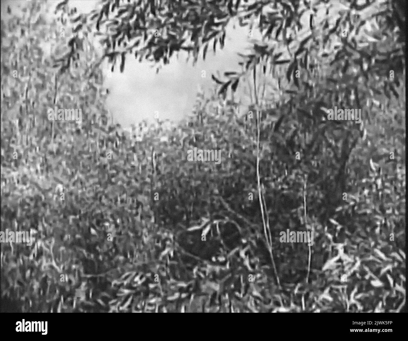 Last of the Mohicans vintage movie screen Stock Photo - Alamy