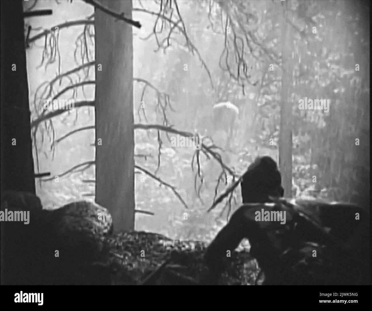 Last of the Mohicans vintage movie screen Stock Photo - Alamy