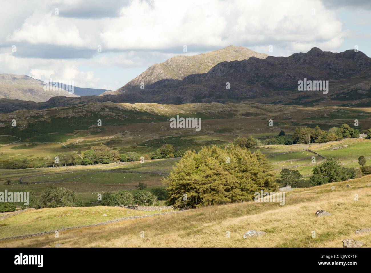 Birker fell hi-res stock photography and images - Alamy