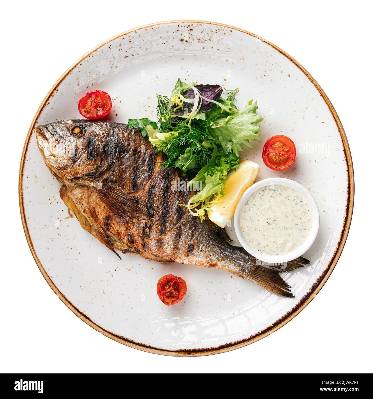 Dorado fish Cut Out Stock Images & Pictures - Alamy
