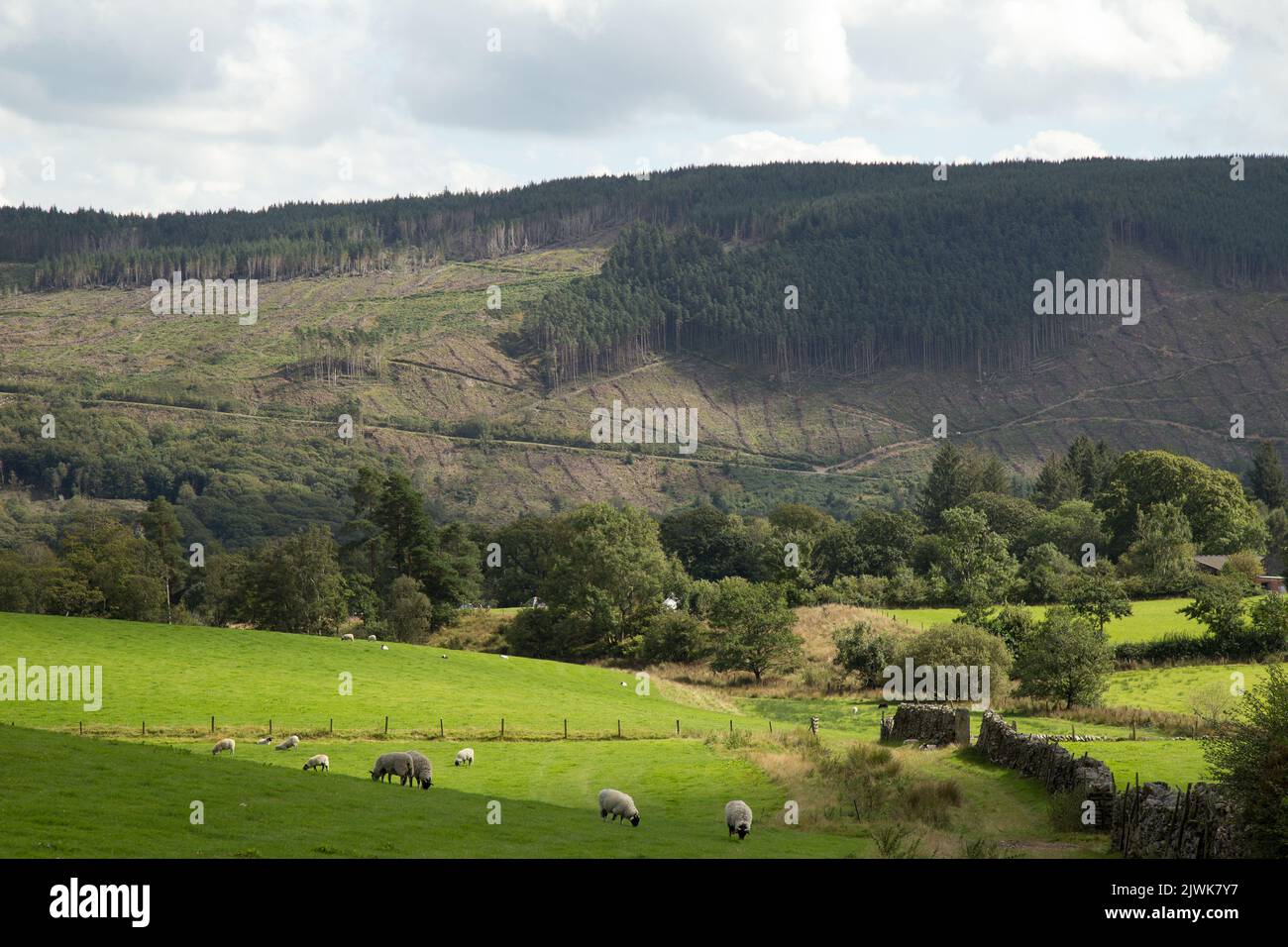 Coniston Lake District Cumbria England UK Stock Photo - Alamy