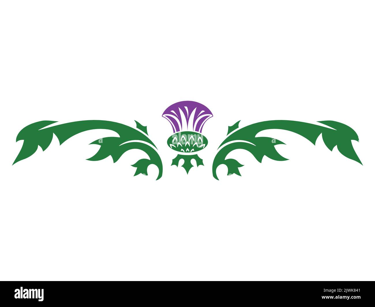Scottish highland flower illustration Stock Vector Images - Alamy
