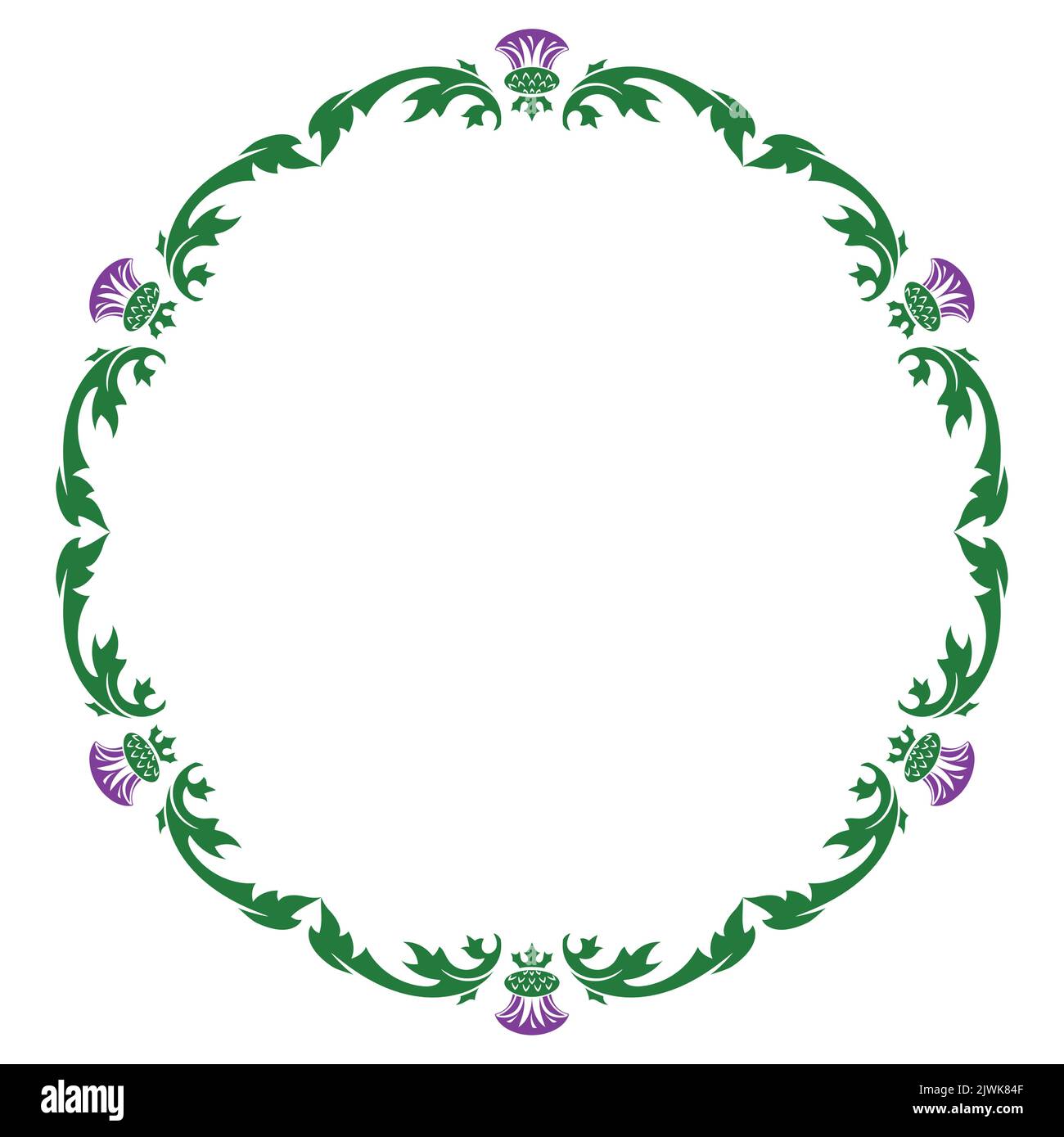 Thistle flower and ornament round leaf thistle. The Symbol Of Scotland ...