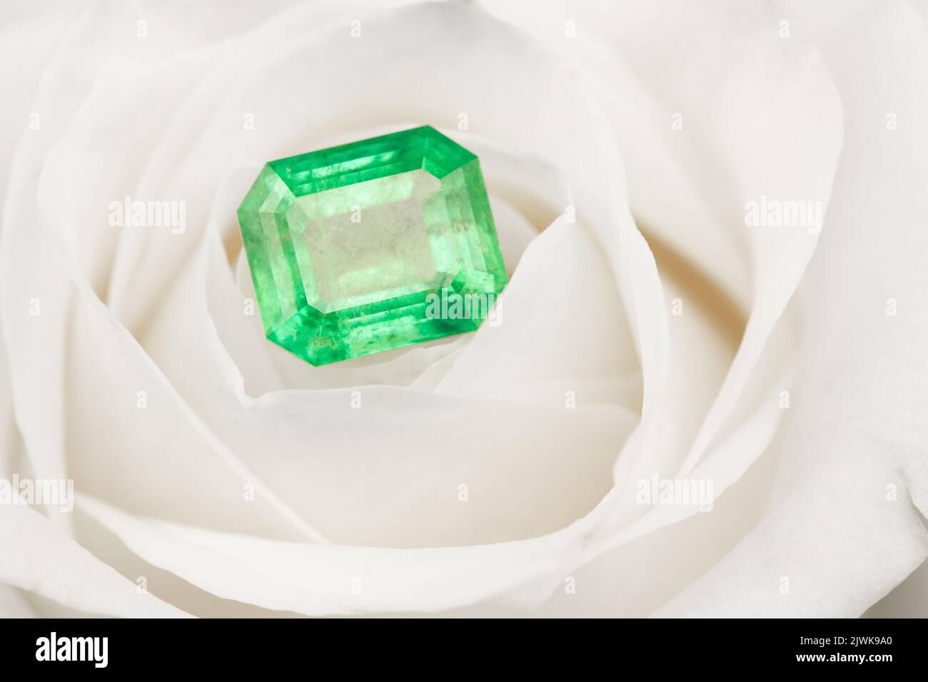 Precious Green Loose Stone on White Rose Flower Stock Photo - Alamy