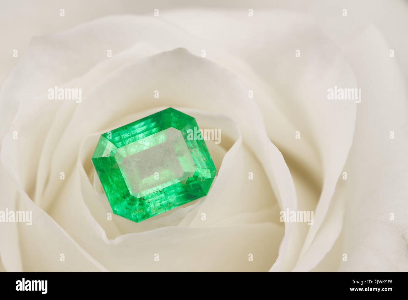 Precious Green Loose Stone on White Rose Flower Stock Photo - Alamy