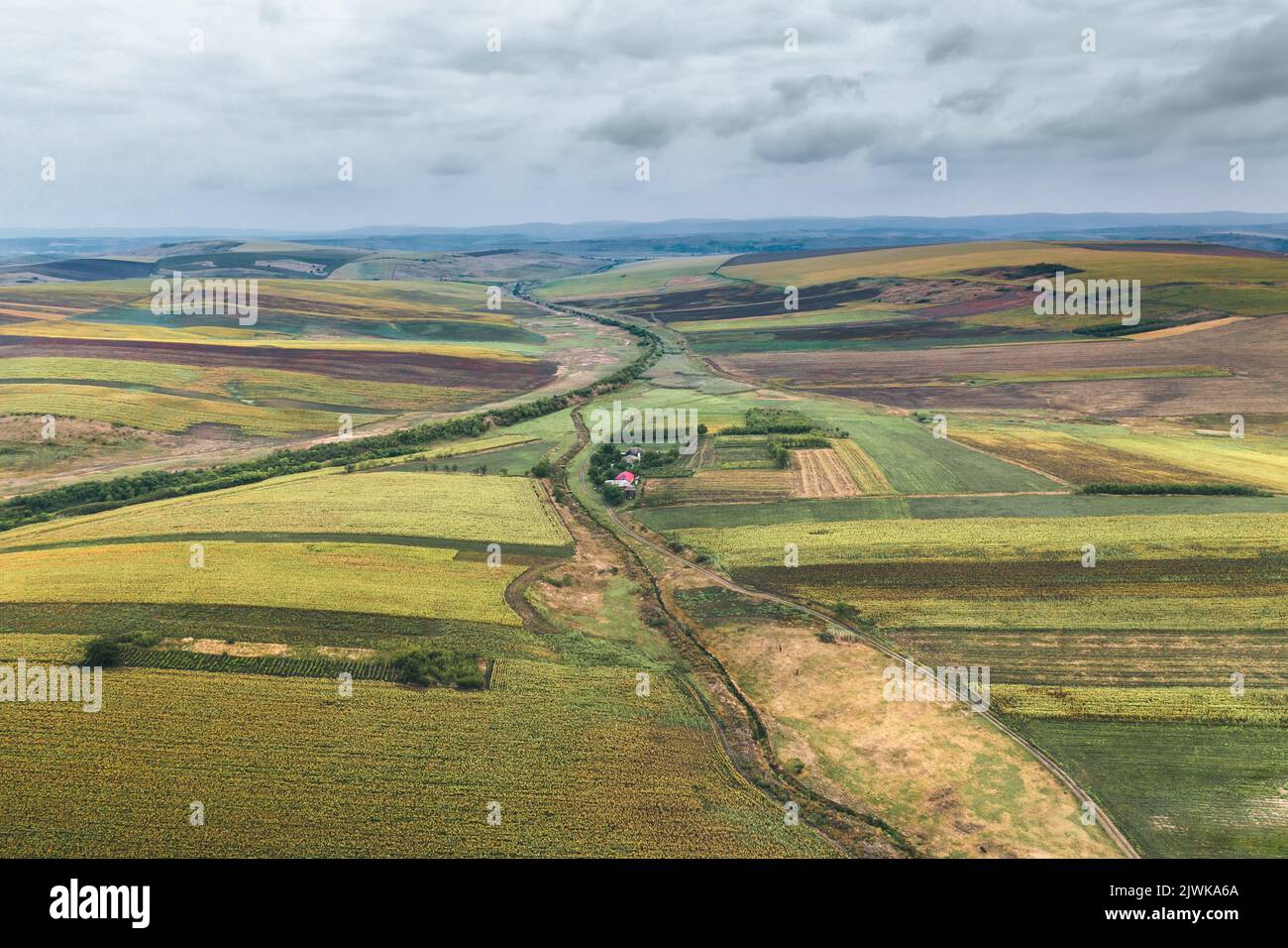 Aerial rural landscape with yellow patched agriculture fields and blue ...