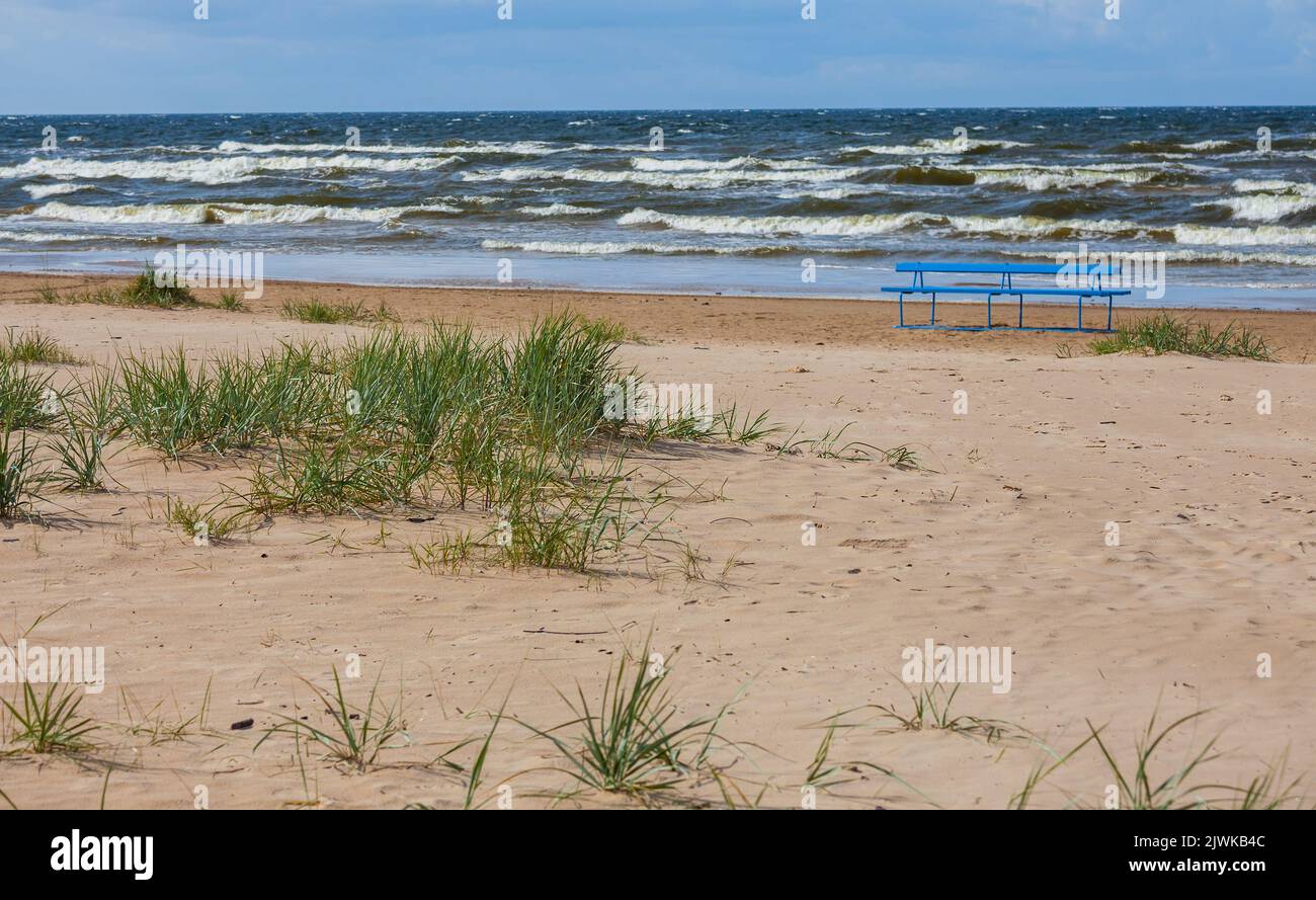 Baltic sea beach. Panorama with sea grass and an empty bench. Sand dunes on the beach Stock ...