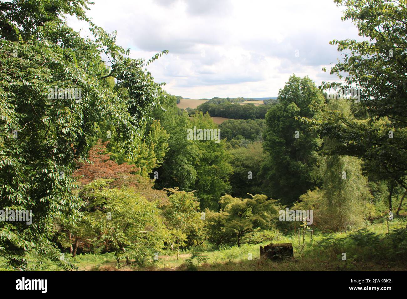 scenic summer view over surrey hills Stock Photo - Alamy