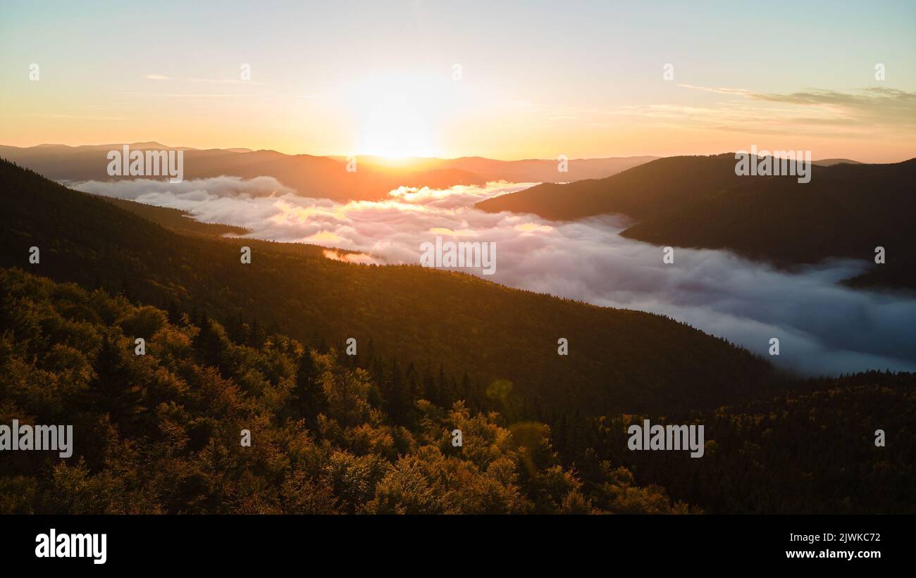 Aerial view of bright foggy morning over dark mountain forest trees at ...