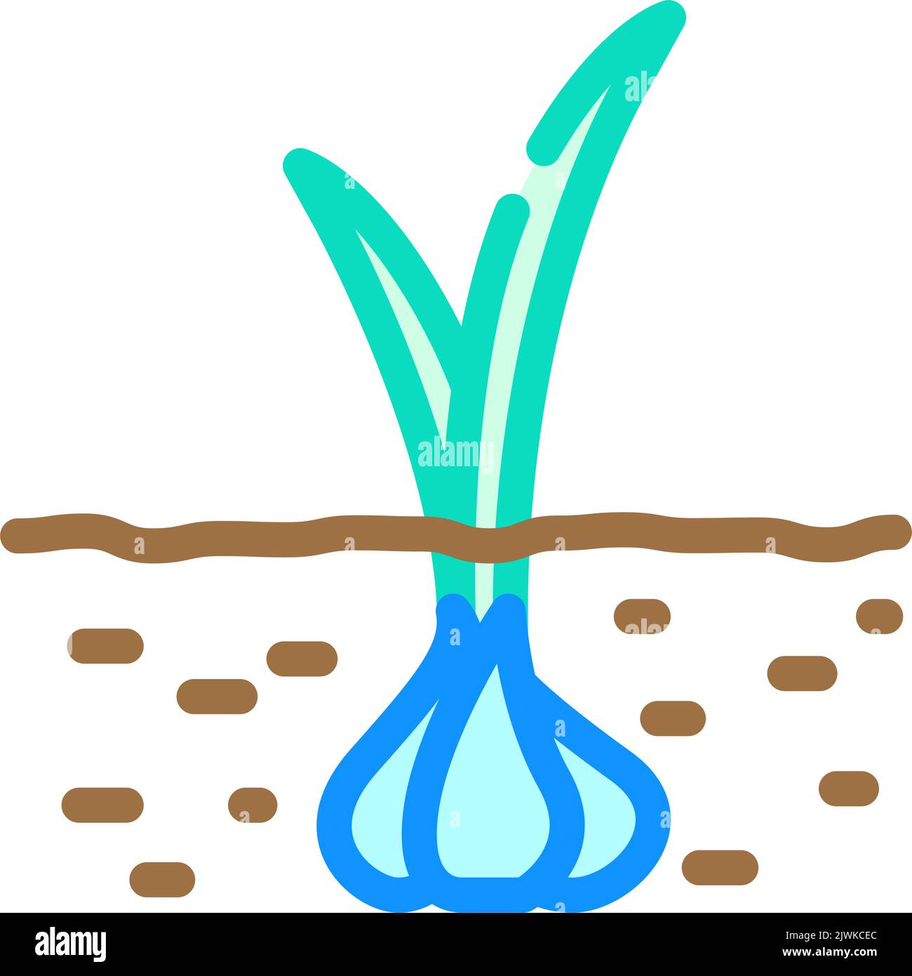 garlic plant vegetable garden color icon vector illustration Stock ...