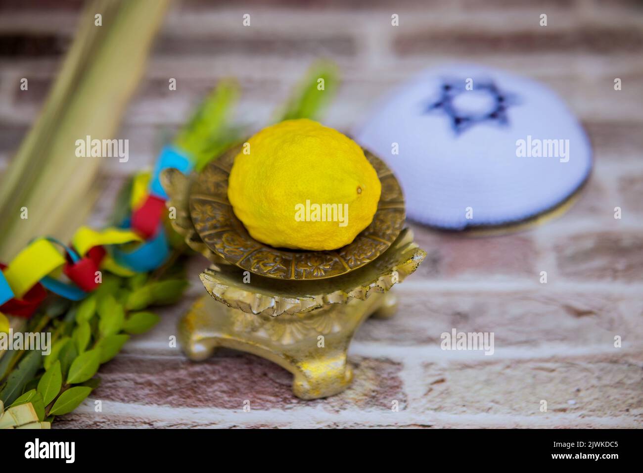 The traditional symbols for Jewish holiday celebrations like Sukkot are ...