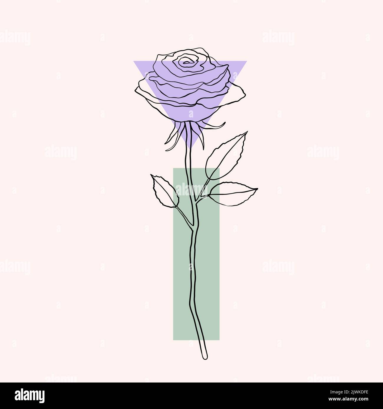 Composition with rose and geometric shapes Stock Vector Image & Art - Alamy