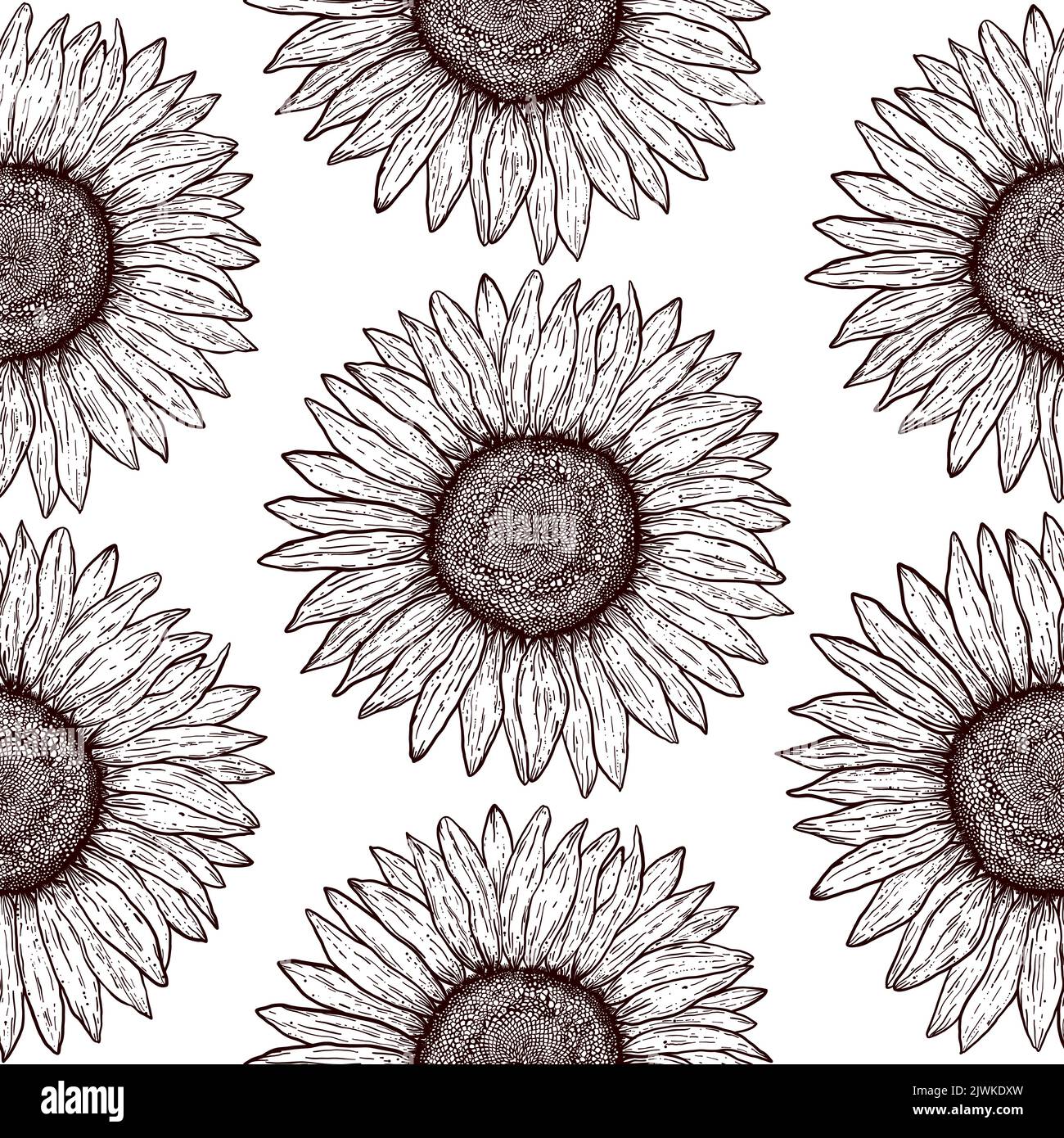 Pattern with sunflowers Stock Vector Image & Art - Alamy